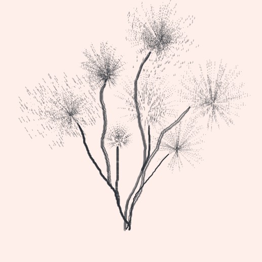 Dessin introspectif libre - Ressenti: 🙏🏻 Apaisé - Partagé par Papillon ...